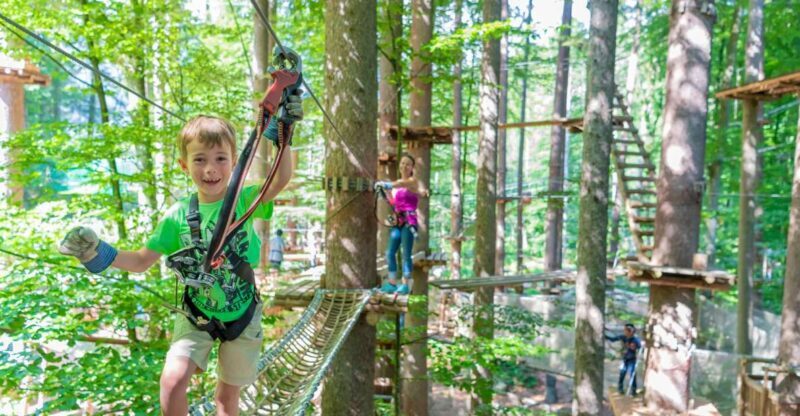 Rope Park Interlaken: Climbing Adventure with Entry Ticket - An In-Depth Look at Rope Park Interlaken