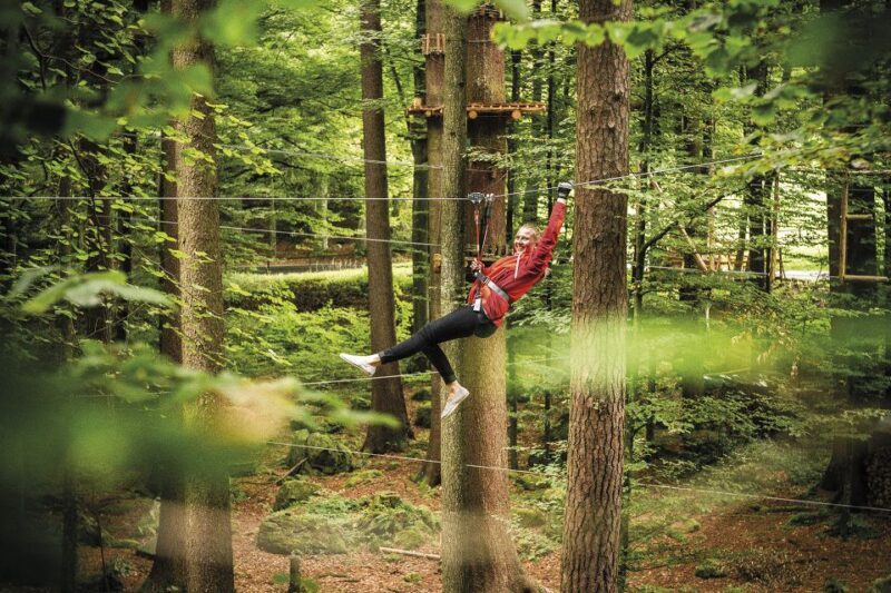Rope Park Interlaken: Climbing Adventure with Entry Ticket - Summary for Potential Visitors