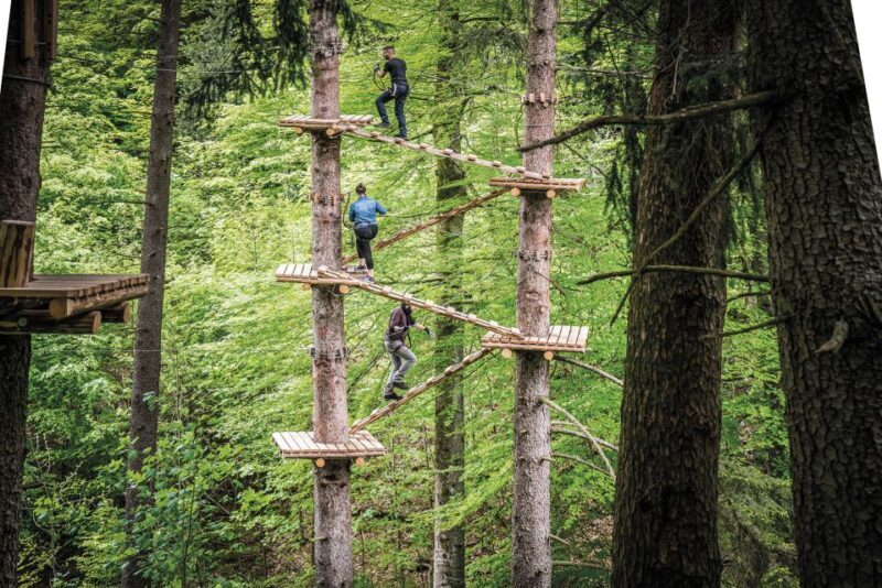 Rope Park Interlaken: Climbing Adventure with Entry Ticket - FAQs
