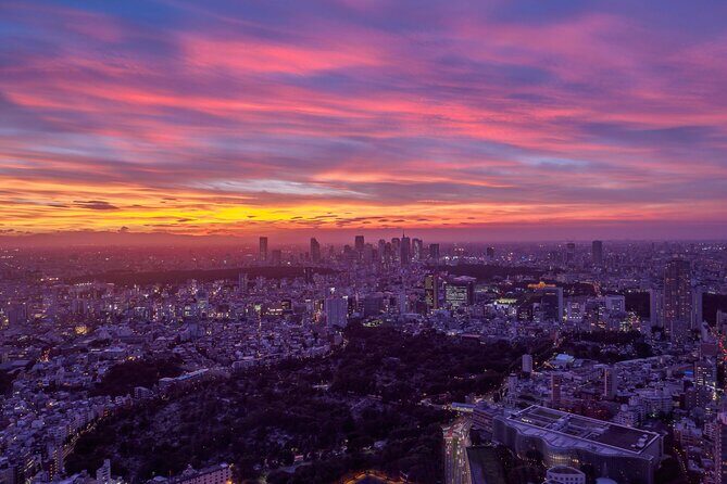 Roppongi Hills Observation Deck Admission Ticket - Who Will Love This Experience?