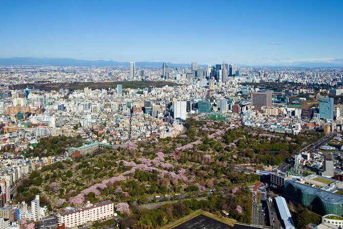 Roppongi Hills Observation Deck Admission Ticket - Final Thoughts