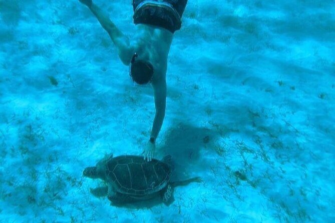 Rose Island Adventure: Snorkel, Sea Turtles, and Private Beach - The Sum Up