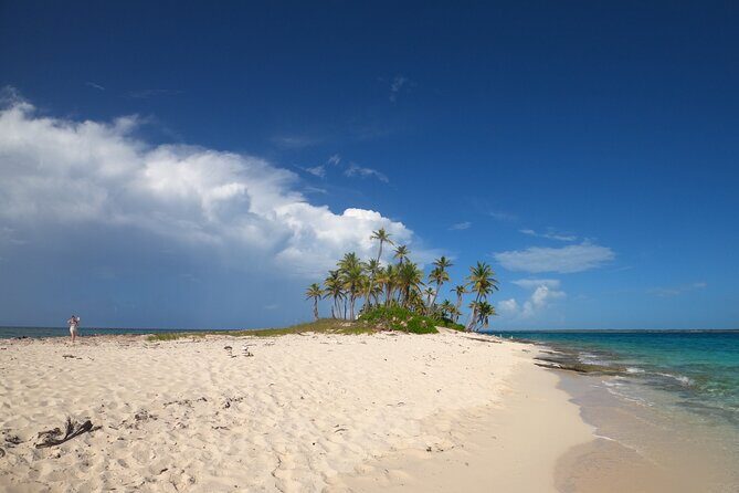 Rose Island Adventure: Turtle Swim and Snorkel - Key Points