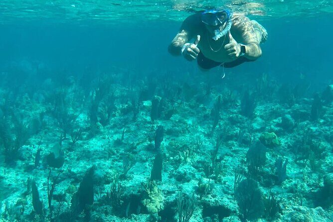 Rose Island Adventure: Turtle Swim and Snorkel - An In-Depth Look at the Tour Experience