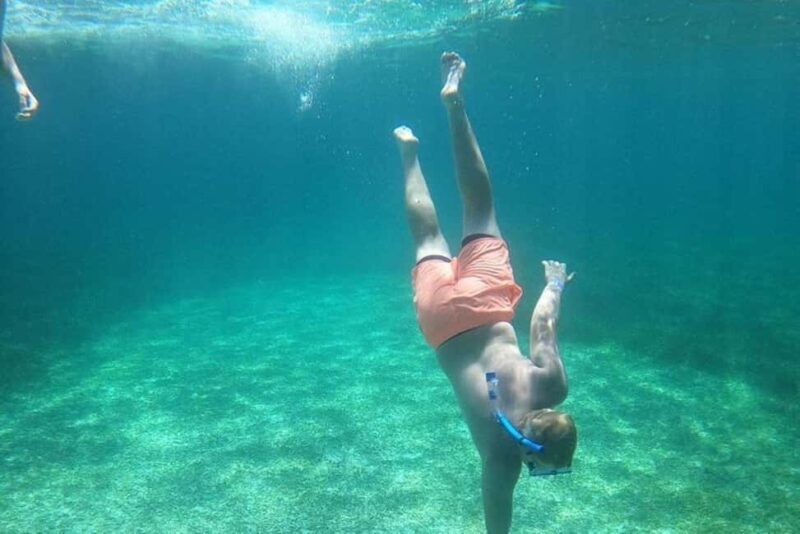 Rose Island Adventure: Turtle, Swim and Snorkel - A Closer Look at the Experience