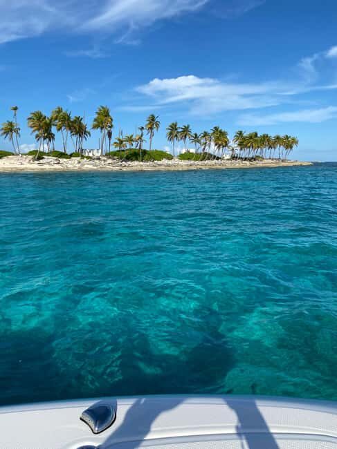 Rose Island: Pig Beach, Snorkeling, Sea Turtles, Beach - Who Will Love This Tour?