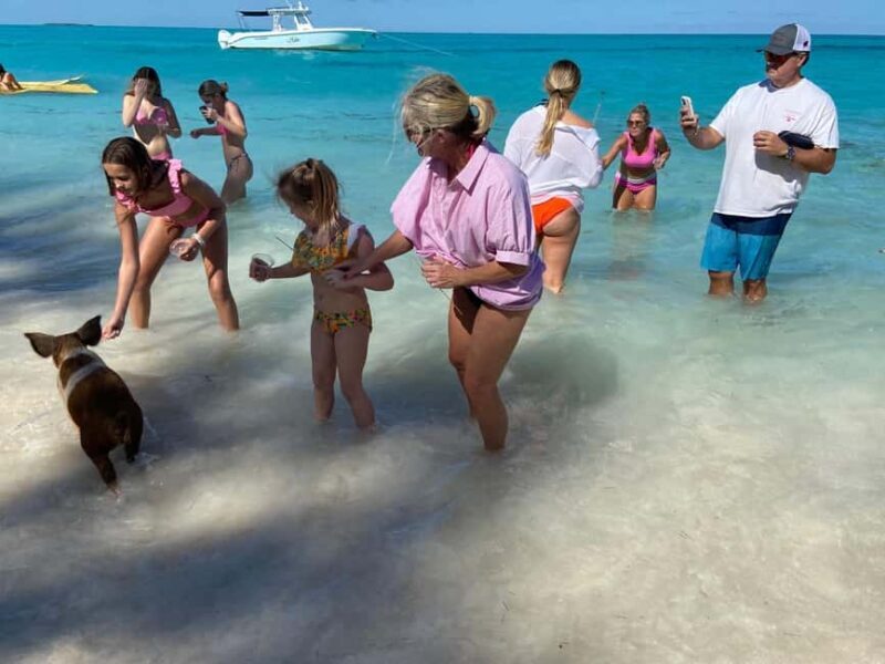 Rose Island: Pig Beach, Snorkeling, Sea Turtles, Beach - Final Thoughts