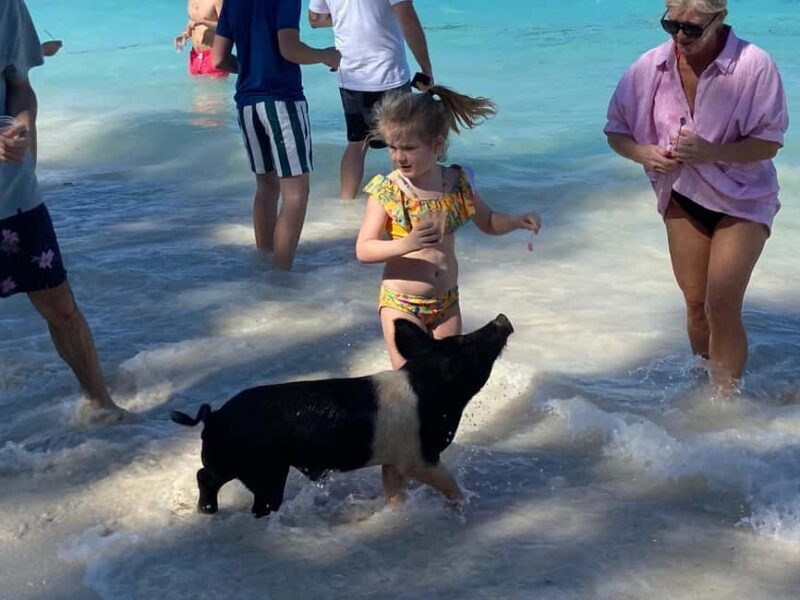 Rose Island: Pig Beach, Snorkeling, Sea Turtles, Beach - Final Words