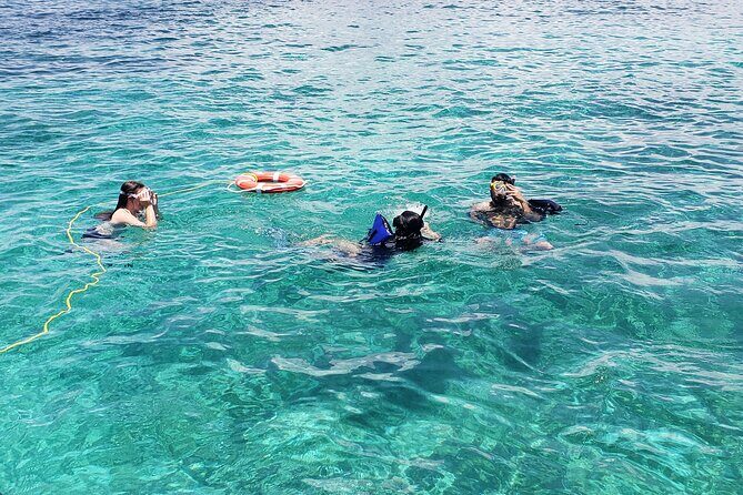 Rose Island: Private Snorkeling, Fishing, and Swimming with Pigs - Who Is This Tour Best For?