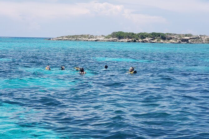 Rose Island: Private Snorkeling, Fishing, and Swimming with Pigs - FAQs