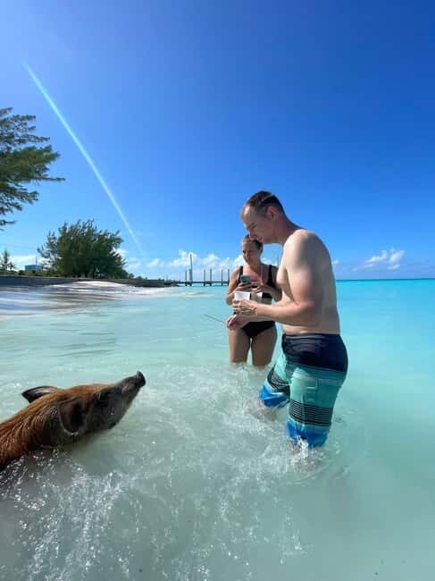 Rose Island: Snorkeling, Swimming Pigs & Unlimited Rum Punch - Analyzing the Value
