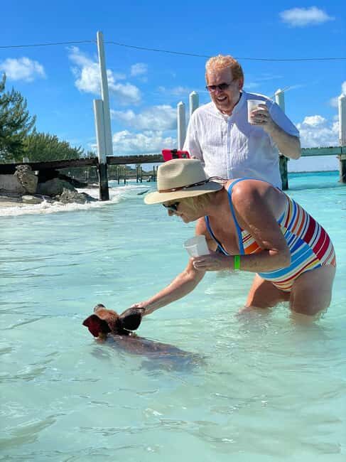 Rose Island: Snorkeling, Swimming Pigs & Unlimited Rum Punch - The Sum Up