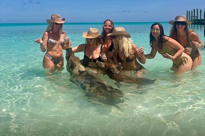 Rose Island Swimming Pigs & Beach Snorkeling Experience Nassau - What to Expect from the Tour Experience