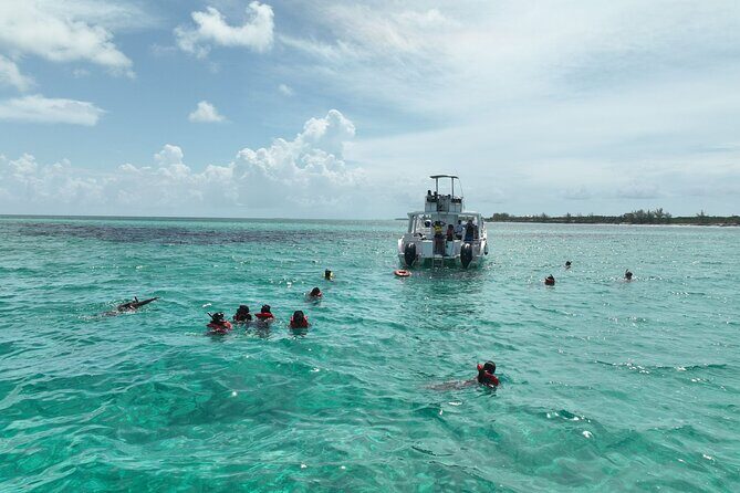 Rose Island Swimming Pigs & Beach Snorkeling Experience Nassau. - An Introduction to the Tour