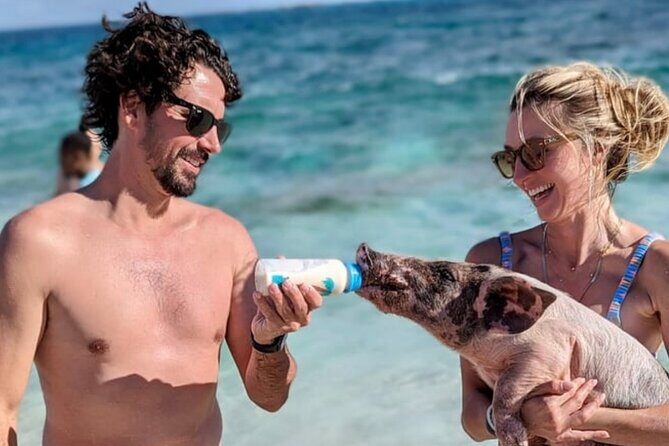 Rose Island Swimming Pigs & Beach Snorkeling Experience Nassau. - Who Will Love This Tour?