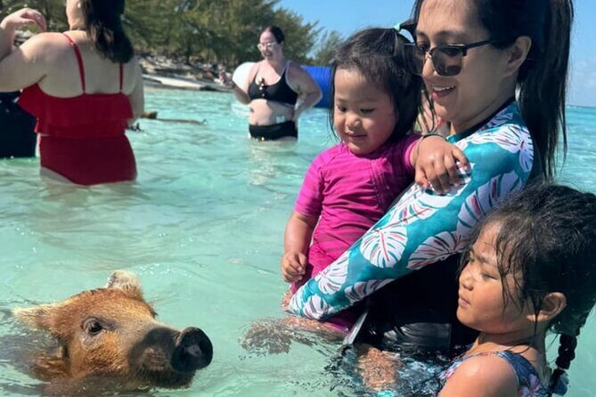 Rose Island Swimming Pigs & Beach Snorkeling Experience Nassau. - Final Thoughts