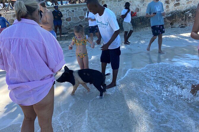 Rose Island Swimming Pigs - Authenticity and Customer Satisfaction