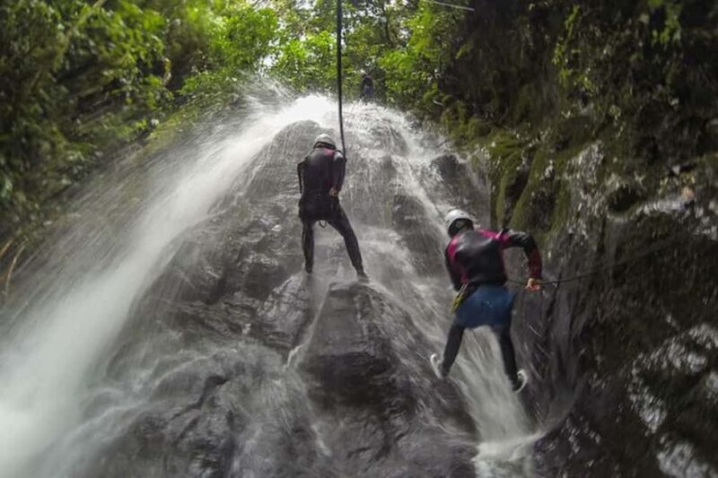 Roseau: Canyoning Discovery Tour - Key Points