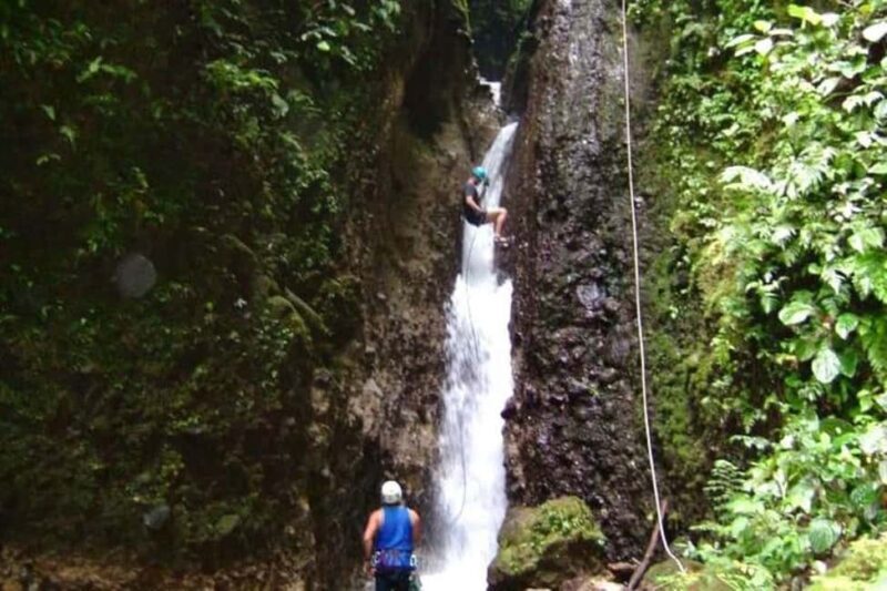 Roseau: Canyoning Discovery Tour - An In-Depth Look at the Canyoning Discovery Tour in Dominica