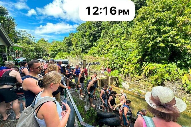 Roseau, Dominica: Rainforest Adventure sport,Waterfall swim - Who Would Love This Experience?
