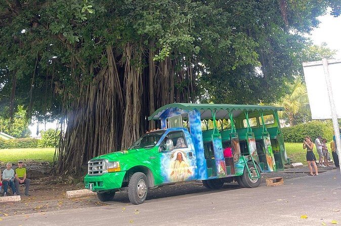 Roseau Dominica Safari Scenic: Rainforest, Falls & Karaoke - Who Will Love This Tour?