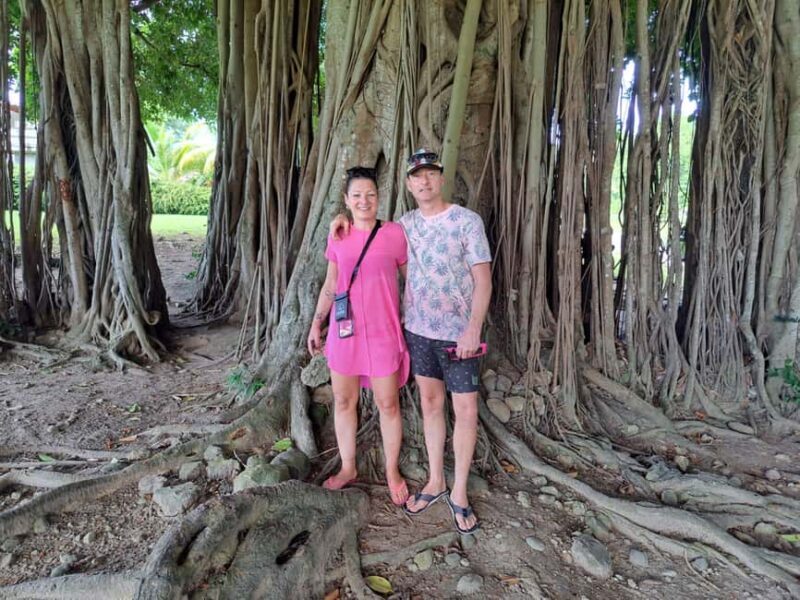 Roseau: Guided Tour with City, Nature, and Beach Options - Who Will Love This Tour?