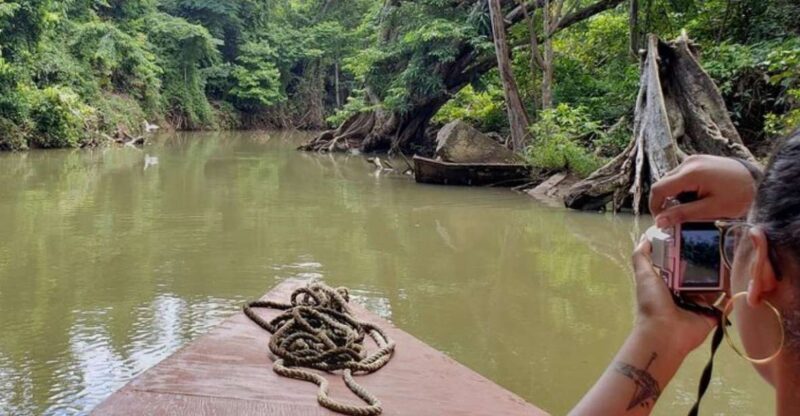 Roseau: Indian River and Fort Shirley Tour with Lunch - The Sum Up