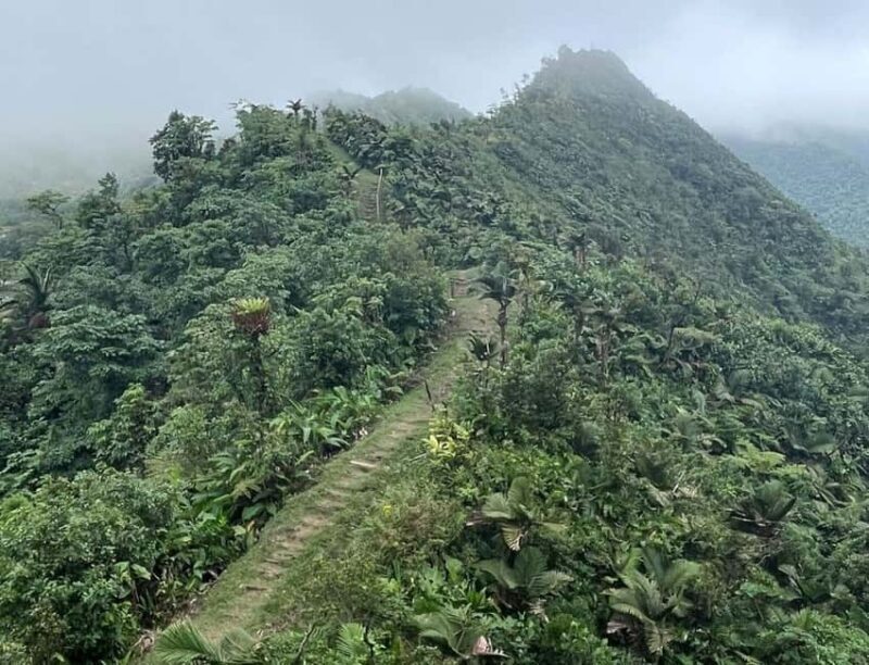 Roseau: Morne Diablotin Hike - An In-Depth Look at the Morne Diablotin Hike
