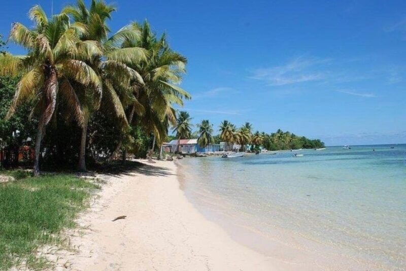 Roseau: Snorkeling and Beach Day with Lunch - What Makes This Tour a Good Value?