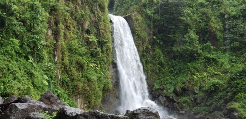 Roseau: Titou Gorge, Hot Spring, Falls & Champagne Reef Tour - Key Points