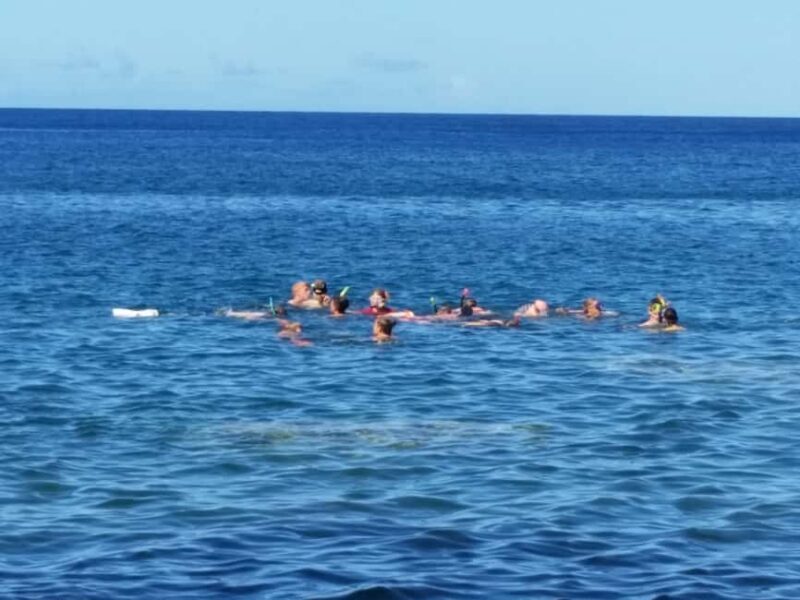 Roseau: Titou Gorge, Hot Spring, Falls & Champagne Reef Tour - Authentic Experiences and Honest Opinions