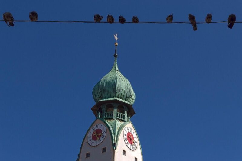 Rosenheim: Private Guided Walking Tour - Practical Tips for Travelers