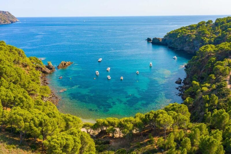 Roses: Costa Brava Catamaran Trip with Underwater Views - An Introduction to the Experience