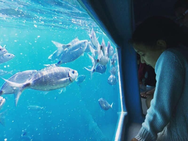 Roses: Costa Brava Catamaran Trip with Underwater Views - The Sum Up: Who Should Consider This Tour?