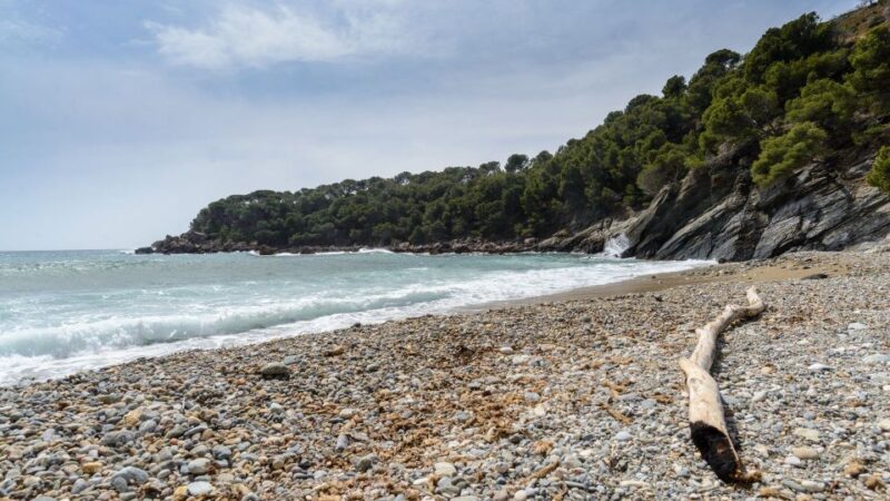 Roses: Cruise to Cala Murtra with Underwater Views - The Sum Up