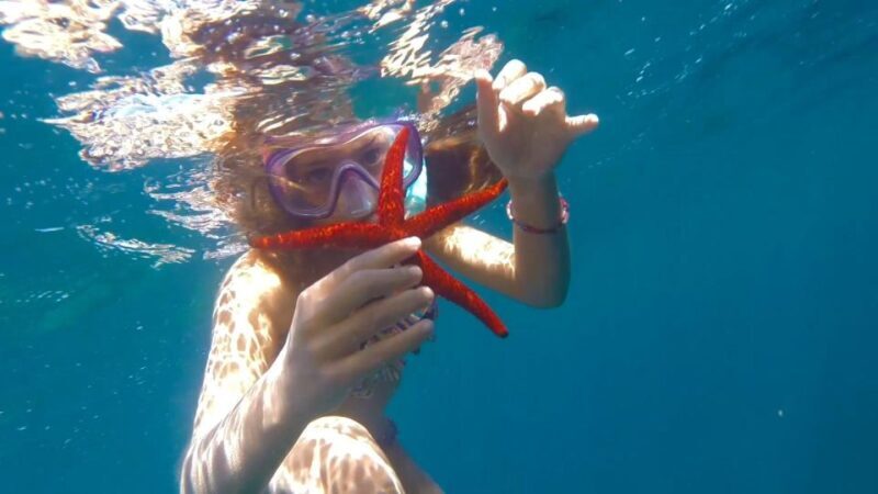 Roses: Rent the boat and live an unforgettable experience - Why This Tour Might Be Perfect for You
