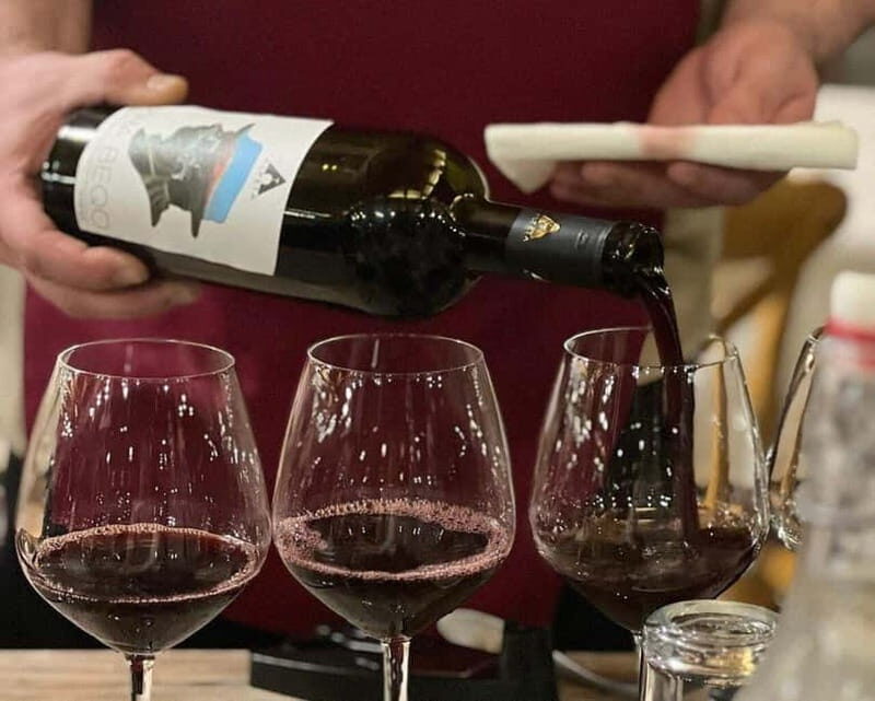 Roshnik: Wine Tasting Experience at the Agrotourism Winery - Who Should Book This Tour?