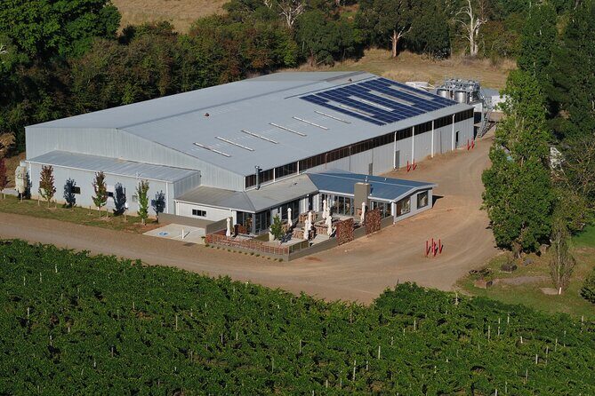 Ross Hill Winery Daily Behind-the-Scenes Tour in Orange NSW - The Experience: What You Can Expect from Ross Hill Winery Tour