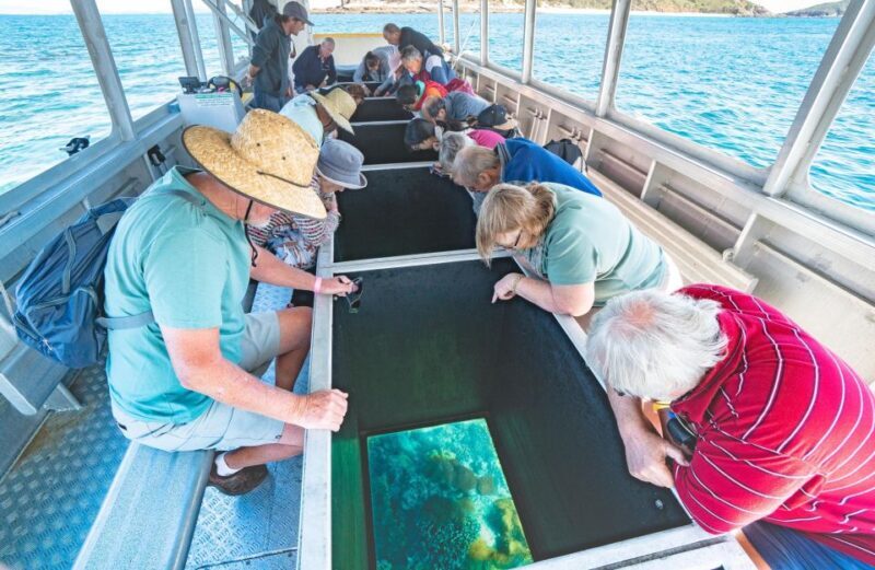 Rosslyn: Great Keppel Island Glass Bottom Boat Tour - Key Points