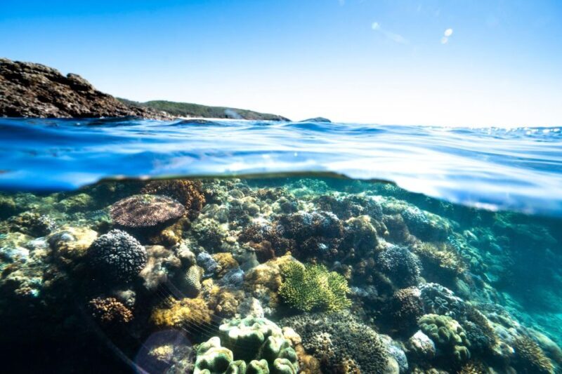 Rosslyn: Great Keppel Island Glass Bottom Boat Tour - Who Should Consider This Tour?