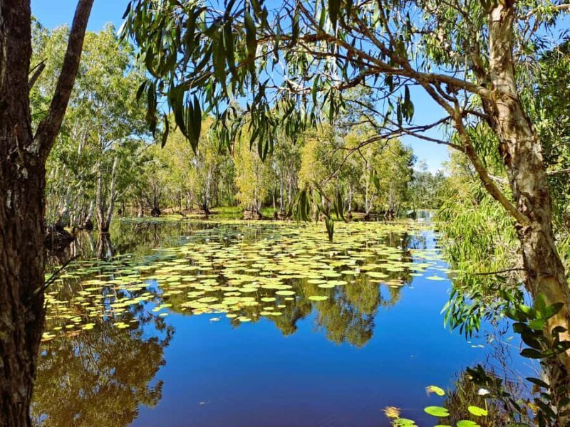 Rossville: Aboriginal Cultural Experience with Mooks - What Do Reviewers Say?