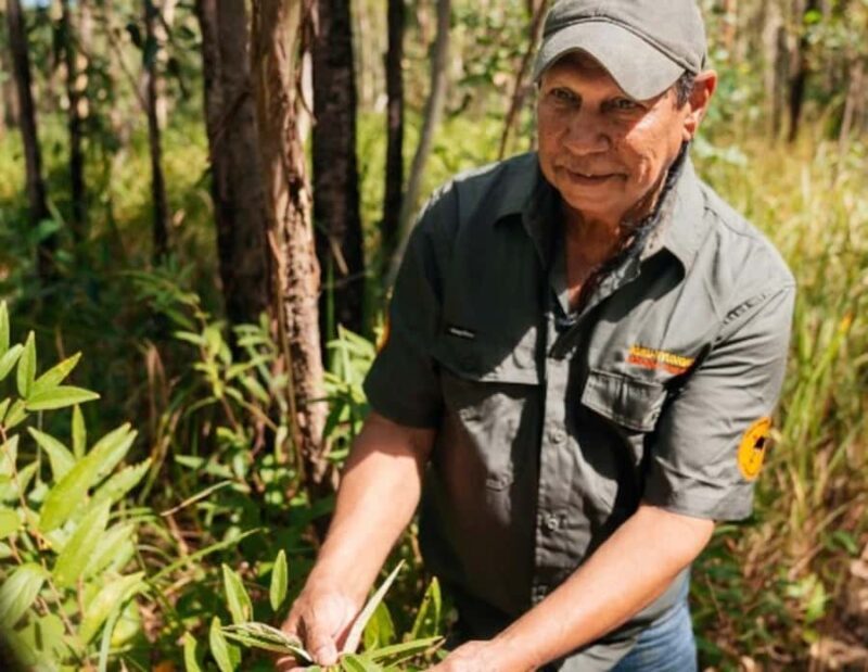 Rossville: Aboriginal Cultural Experience with Mooks - FAQs