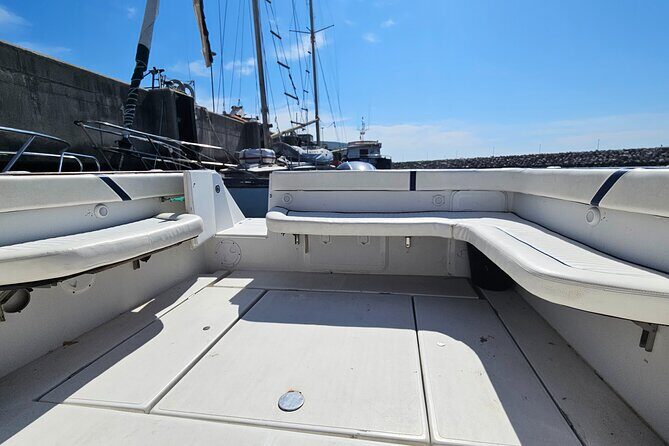 ROTE OF WONDER (amazing boat tour along the coast of Sesimbra) - What Past Participants Say