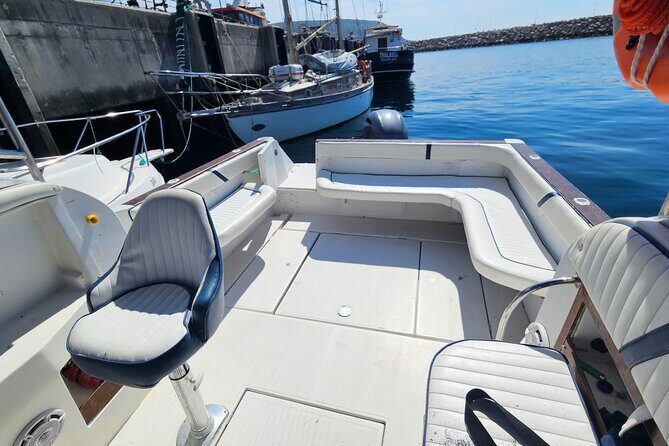 ROTE OF WONDER (amazing boat tour along the coast of Sesimbra) - The Value of the Rote of Wonder Tour