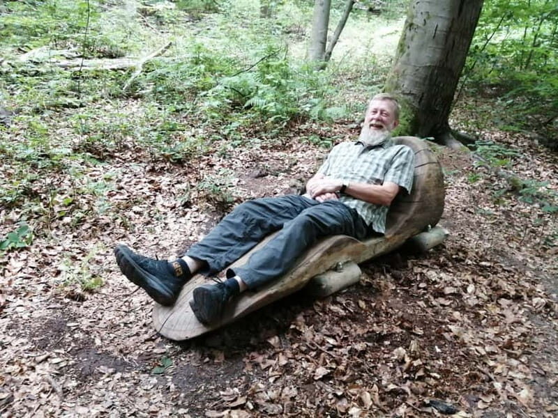 Rotenburg an der Fulda: Forest bathing with a certified guide - Key Points