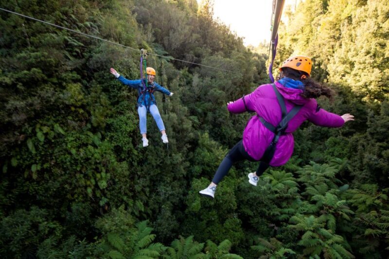 Rotorua: 6 Ziplines, 400m Tandem, Cliff Walk & Swing Bridges - Key Points: