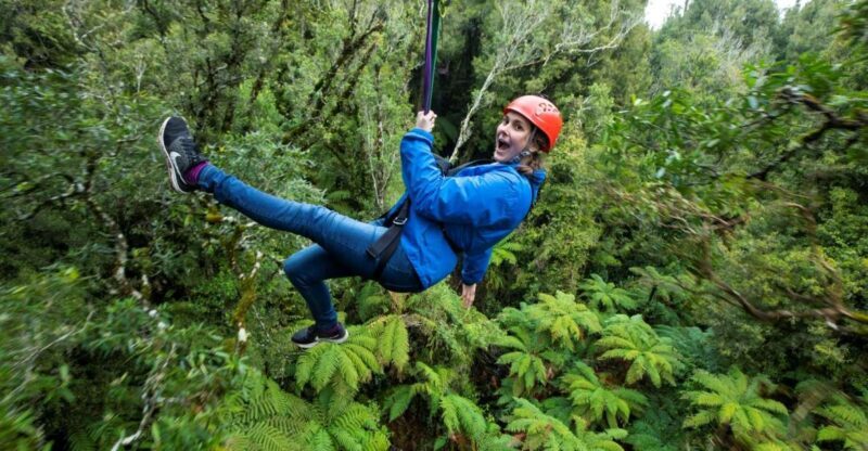 Rotorua: 6 Ziplines, Swing-Bridges & Wildlife Encounters - Who Will Appreciate This Tour?