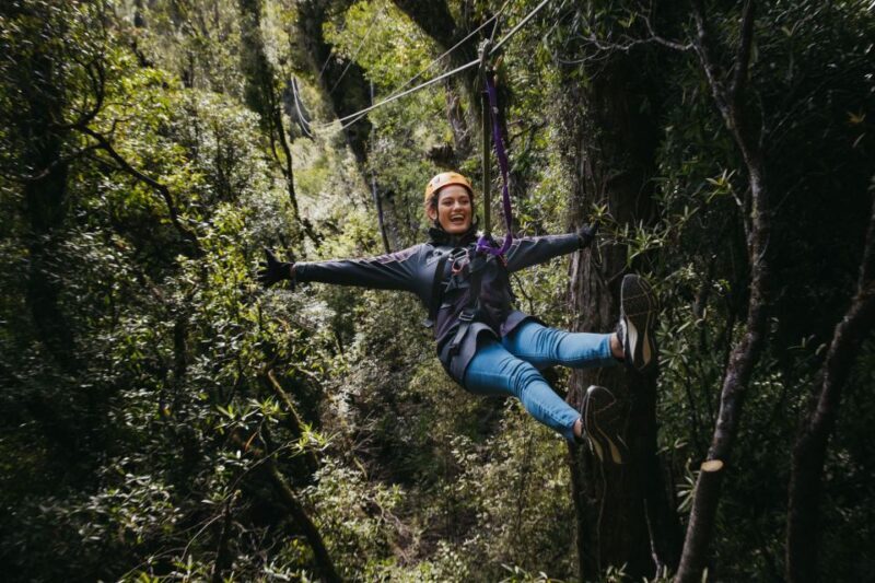 Rotorua: 6 Ziplines, Swing-Bridges & Wildlife Encounters - What Makes the Ziplines Special?