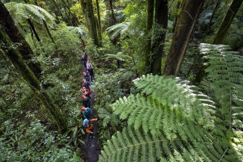 Rotorua: 6 Ziplines, Swing-Bridges & Wildlife Encounters - Physical Considerations and Accessibility