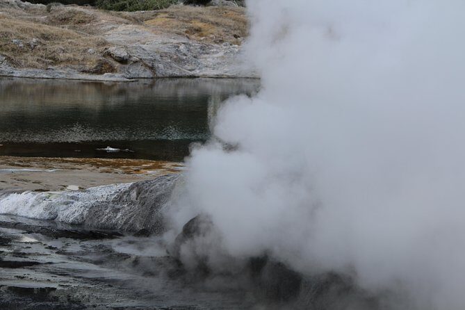 Rotorua and Waitomo Caves Day Trip from Auckland -Smaller Groups - Who Would Enjoy This Tour?